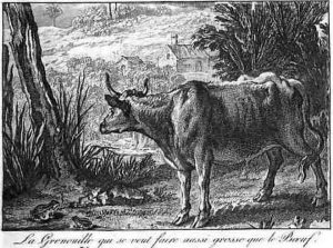 De la Grenouille et du Boeuf - Rue Des Fables